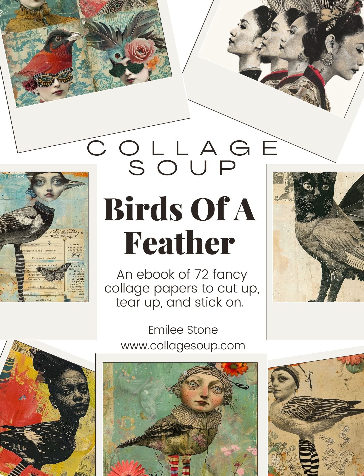 Birds Of A Feather eBook — Collage Soup