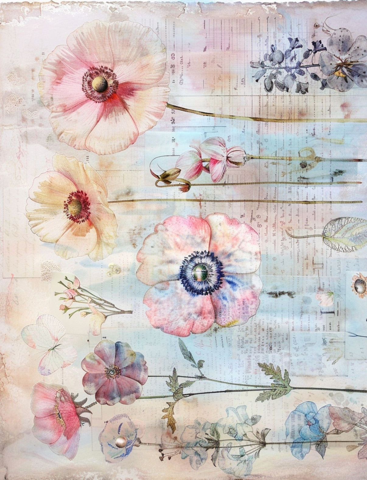 How Does Your Garden Grow? eBook | Printable botanical collage art ...