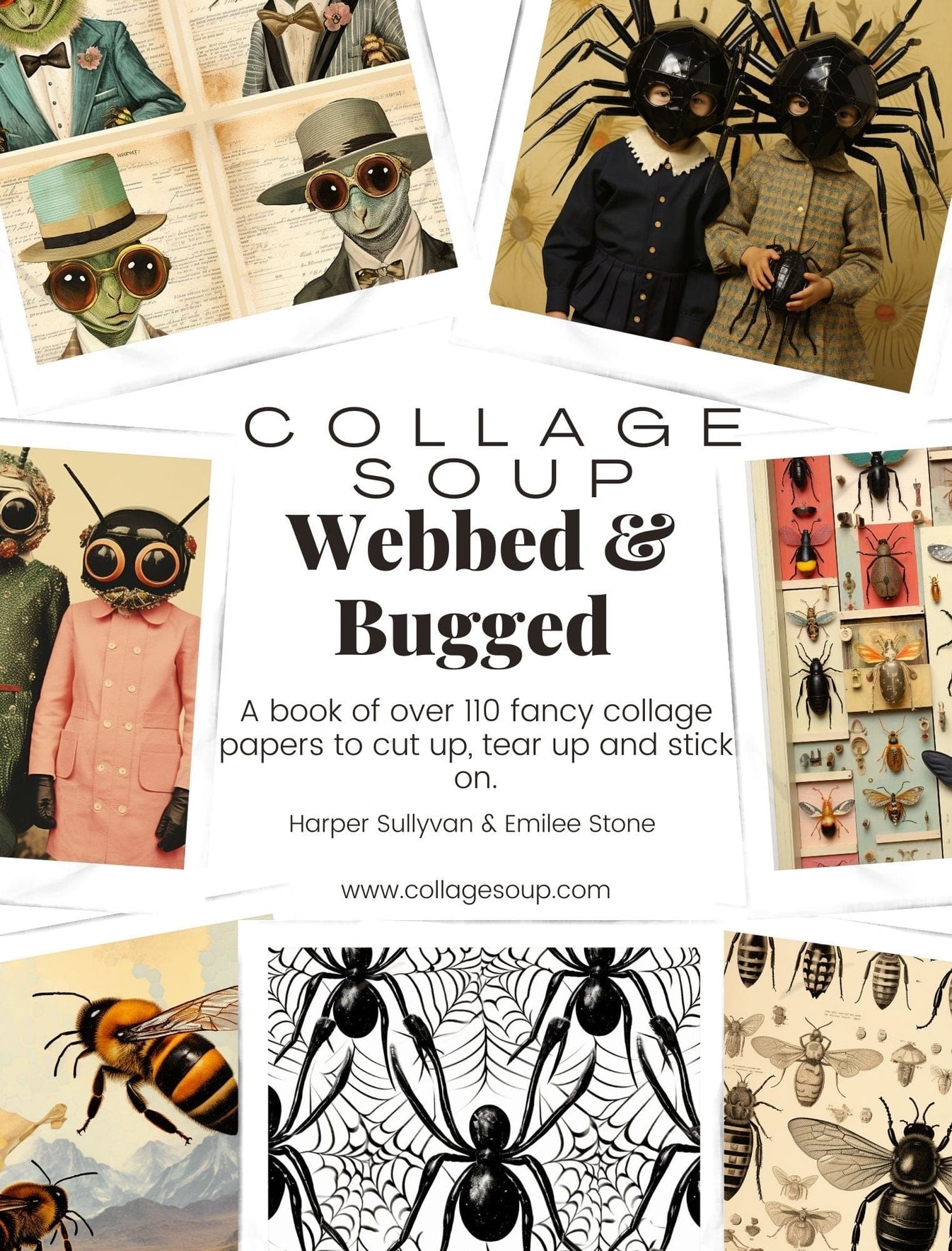 Webbed and Bugged (Paperback) Spiders, Bugs & Nature-Inspired Collage ...