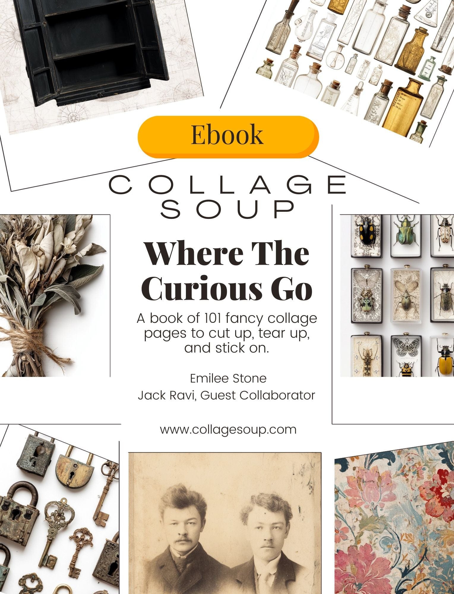 Where the Curious Go eBook with mysterious vintage collage sheets ...